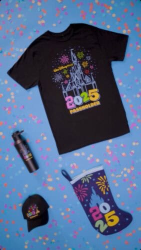 Disney World Passholders Get a Sneak Peek at 2025 Exclusive Merch ...