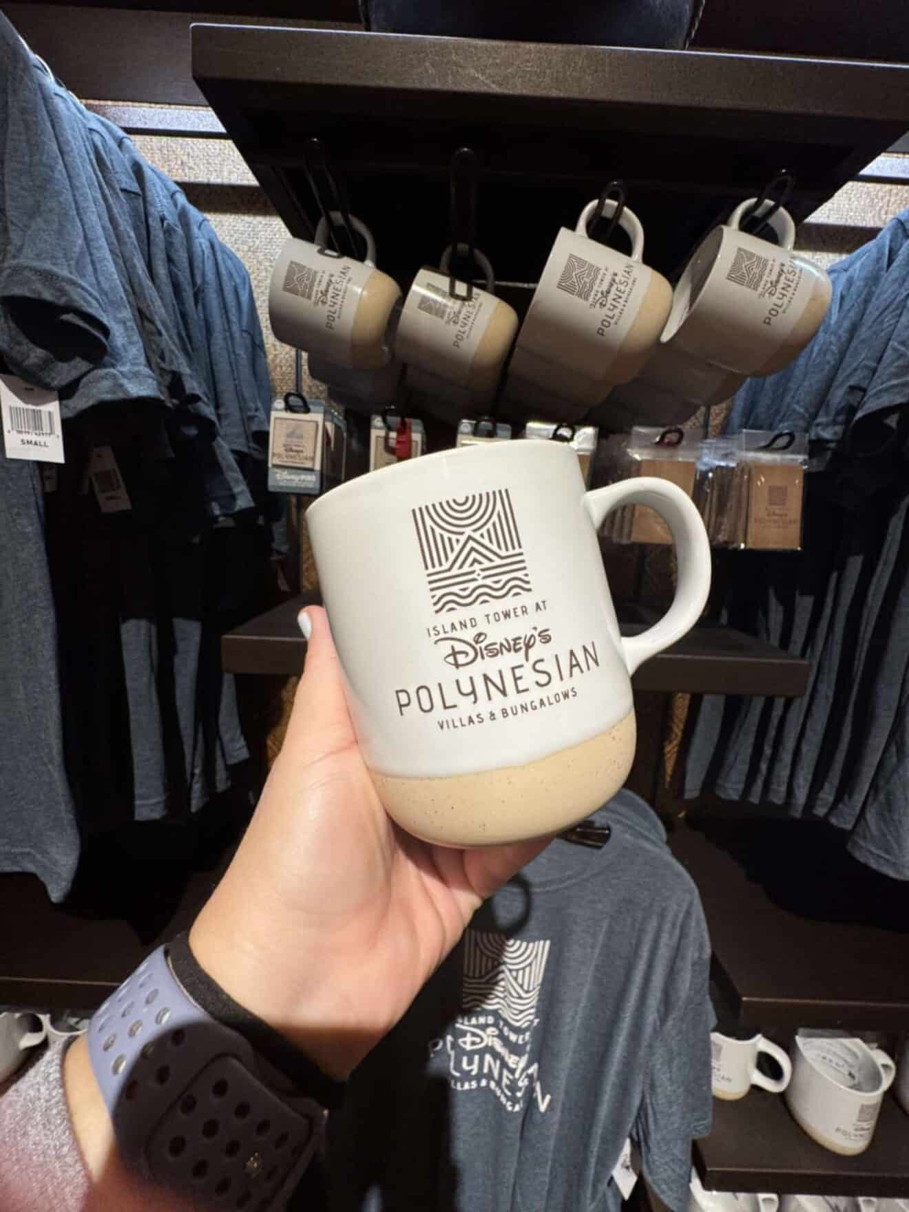 Celebrating the Grand Opening: A First Look at the Exclusive DVC Island ...