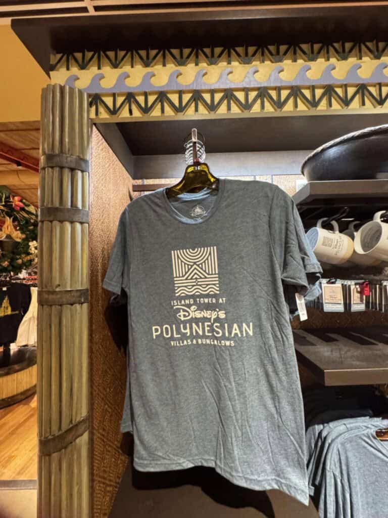 Celebrating the Grand Opening: A First Look at the Exclusive DVC Island ...