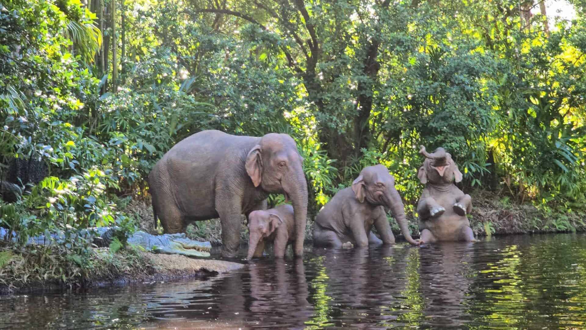 Animatronic Elephant Returns to Magic Kingdom's Jungle Cruise After ...
