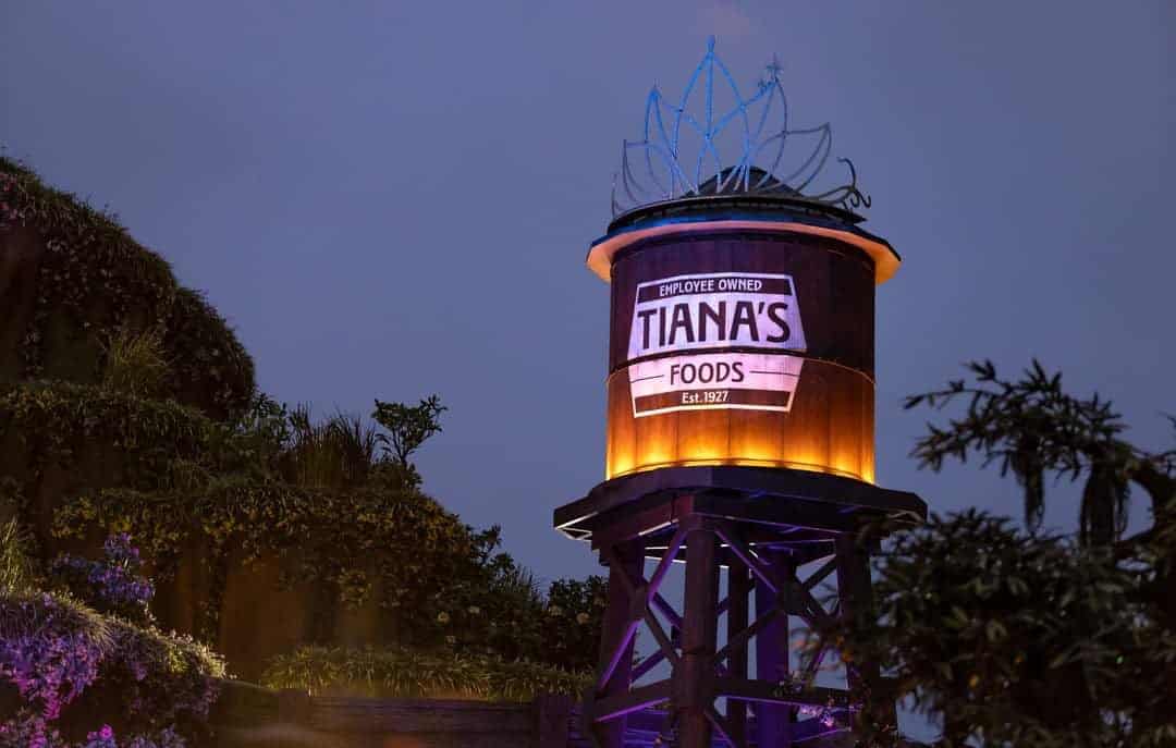 Disney Removes Tiana’s Bayou Adventure From Disney After Hours at Magic ...