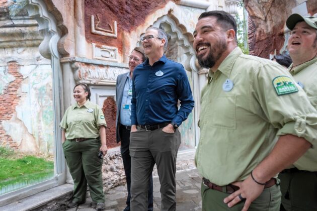 Disney World President Jeff Vahle and Dr. Mark Visit Baby Tiger Cub ...