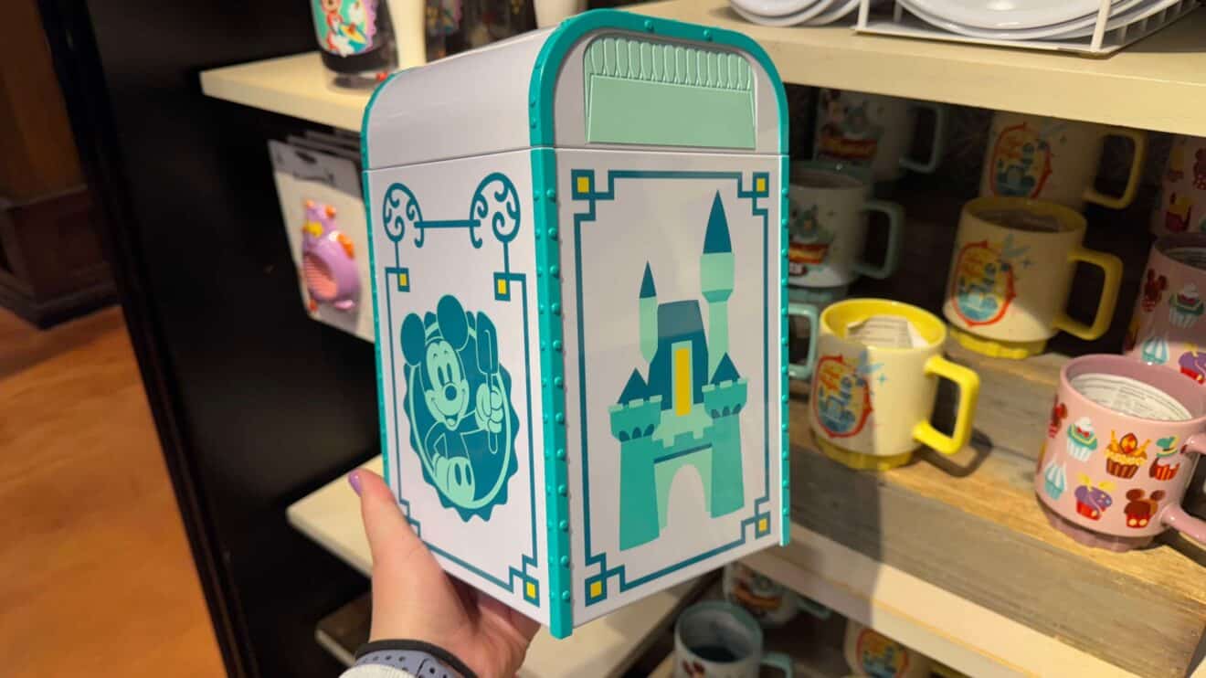 This Disney Parks Trash Can Is A Novelty Item with Surprisingly ...