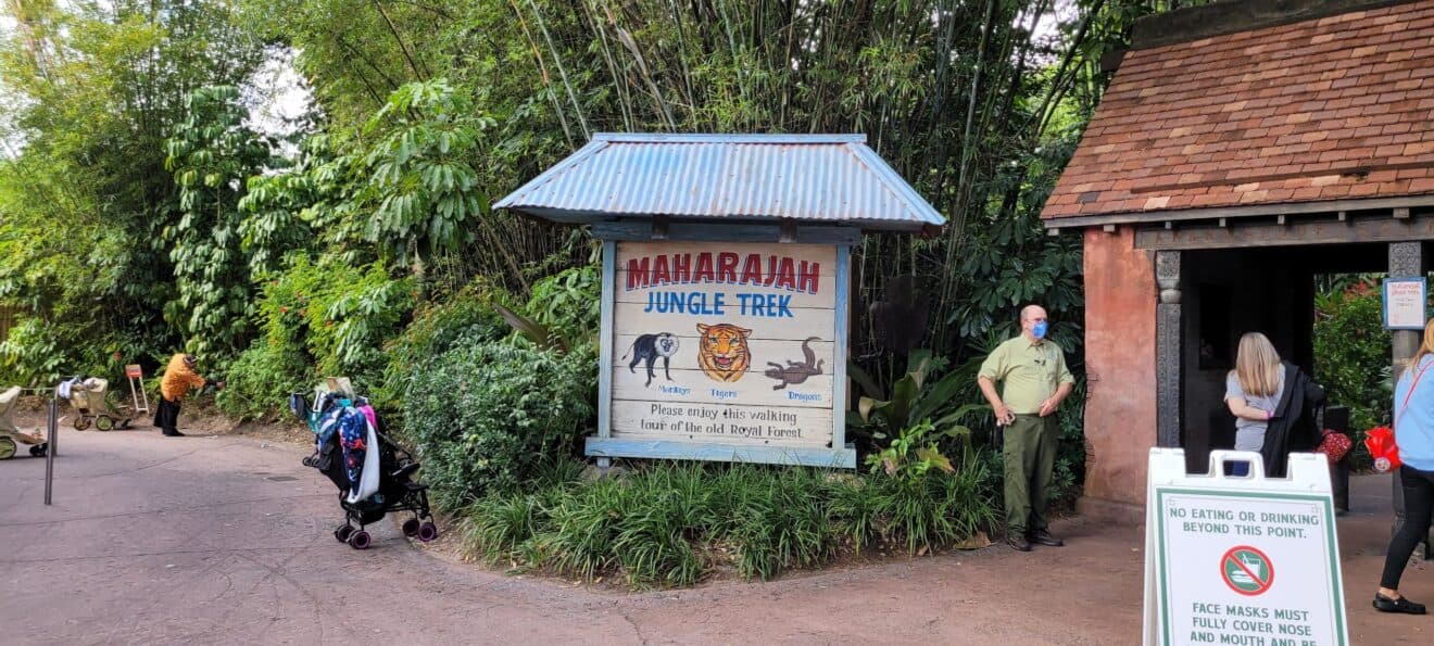 Maharajah Jungle Trek Bat Exhibit Closing for Refurbishment at Animal ...