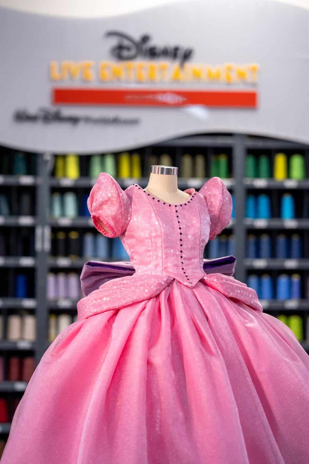 How Disney and Make-A-Wish Made a Cinderella Dream Come True at Disney ...