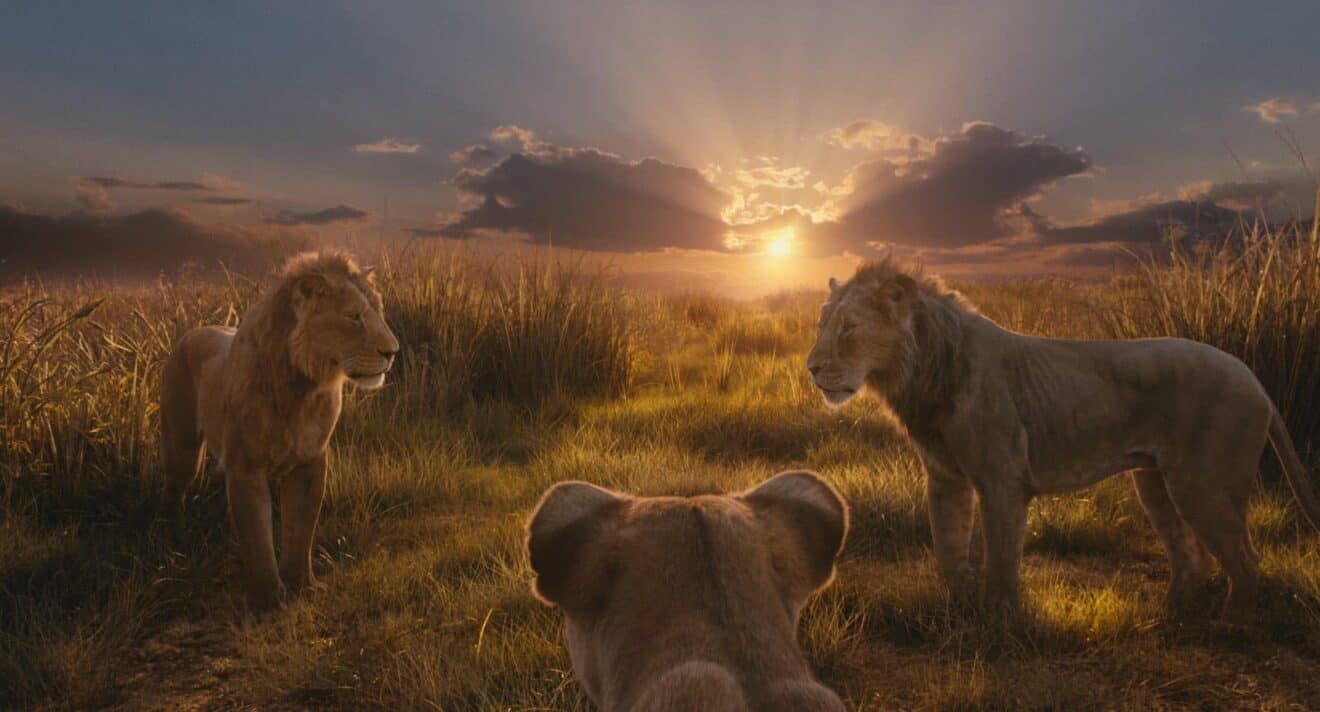 ‘Mufasa: The Lion King’ Sets Streaming Date for Disney+ | Chip and Company