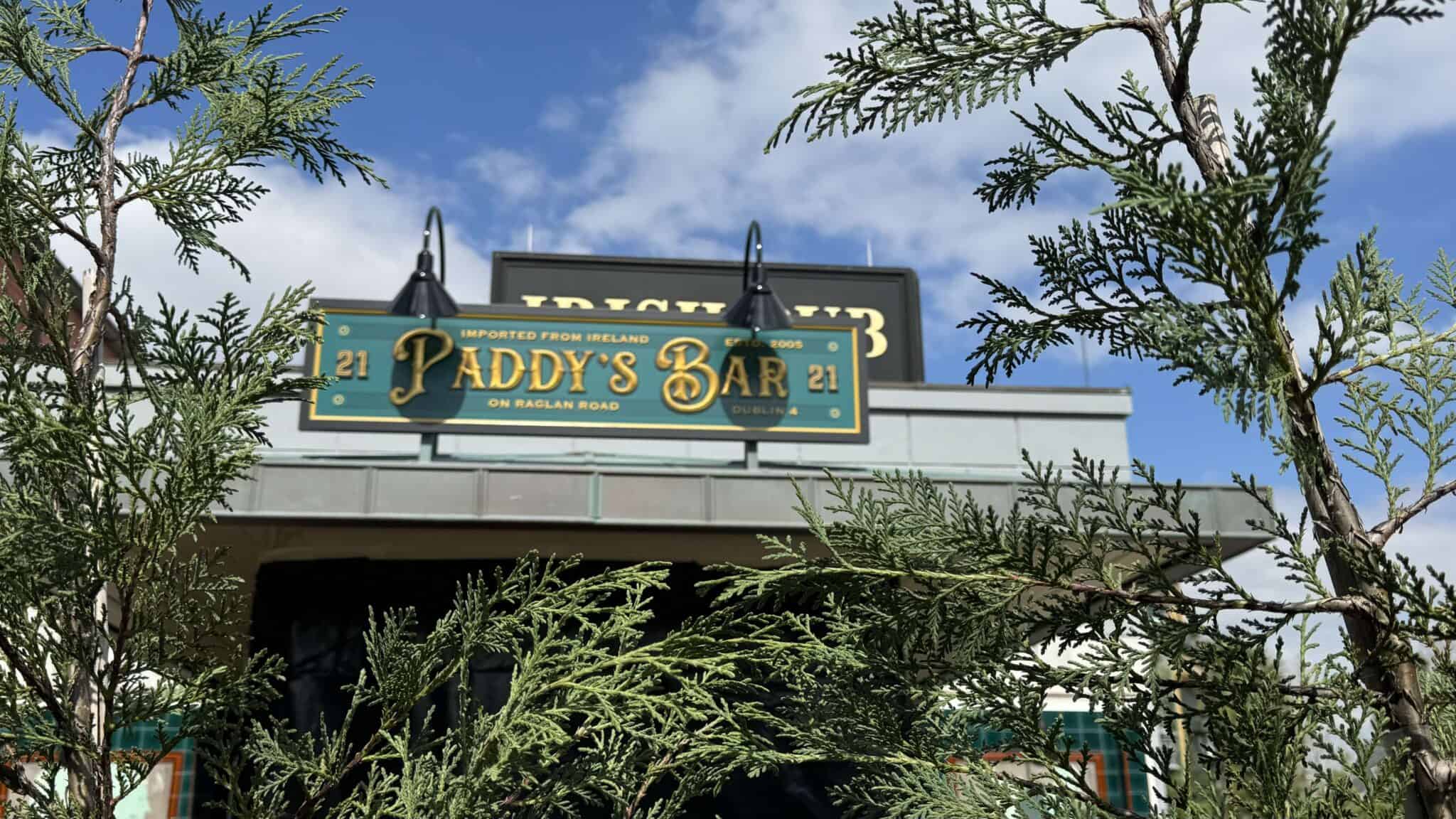 Sign Installed For Paddy's Bar the New Walk-Up Bar at Raglan Road in ...