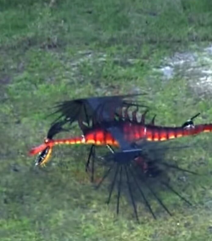 First Look at Flying Dragon Drone Hookfang Coming to Universal Epic ...