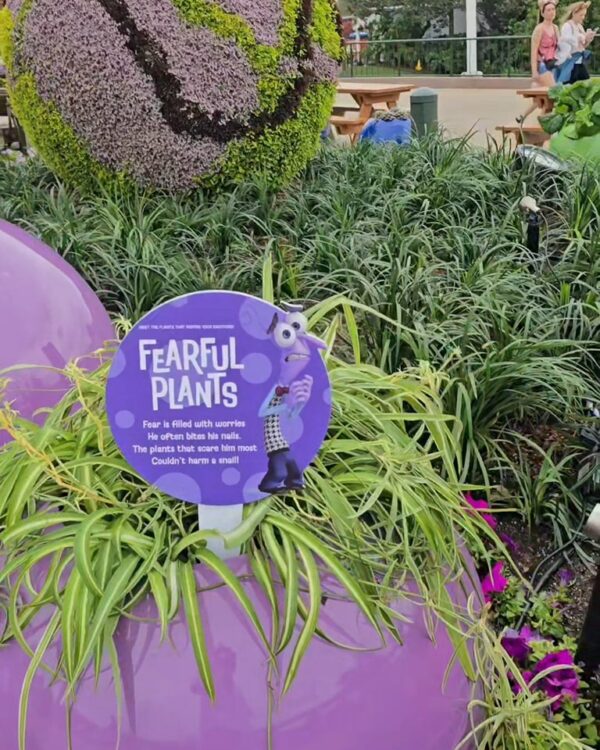 Inside Out Emotion Garden Debuts at Flower & Garden Festival | Chip and ...