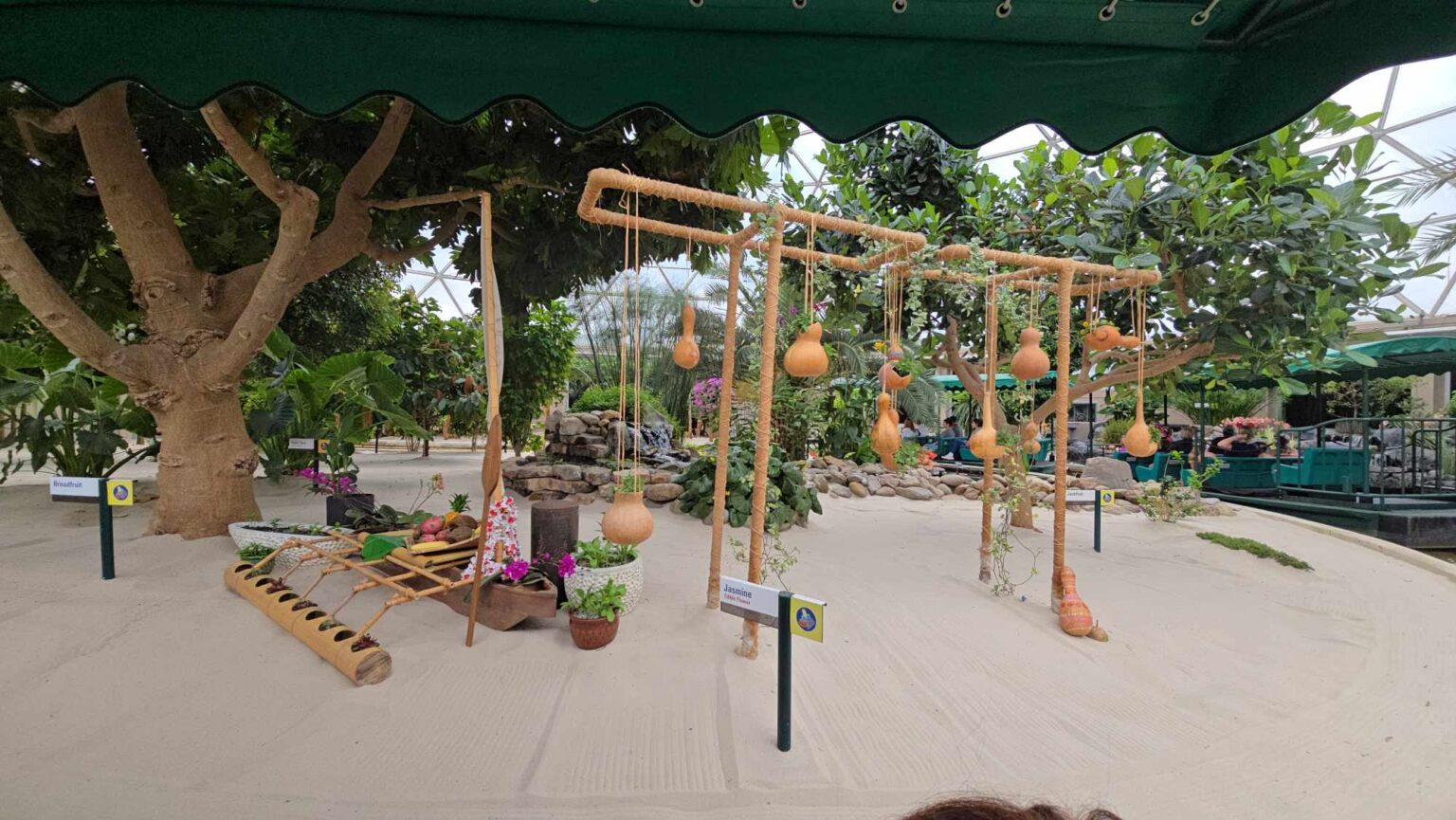 New Moana, Princess and the Frog and Tangled Displays added to Living ...