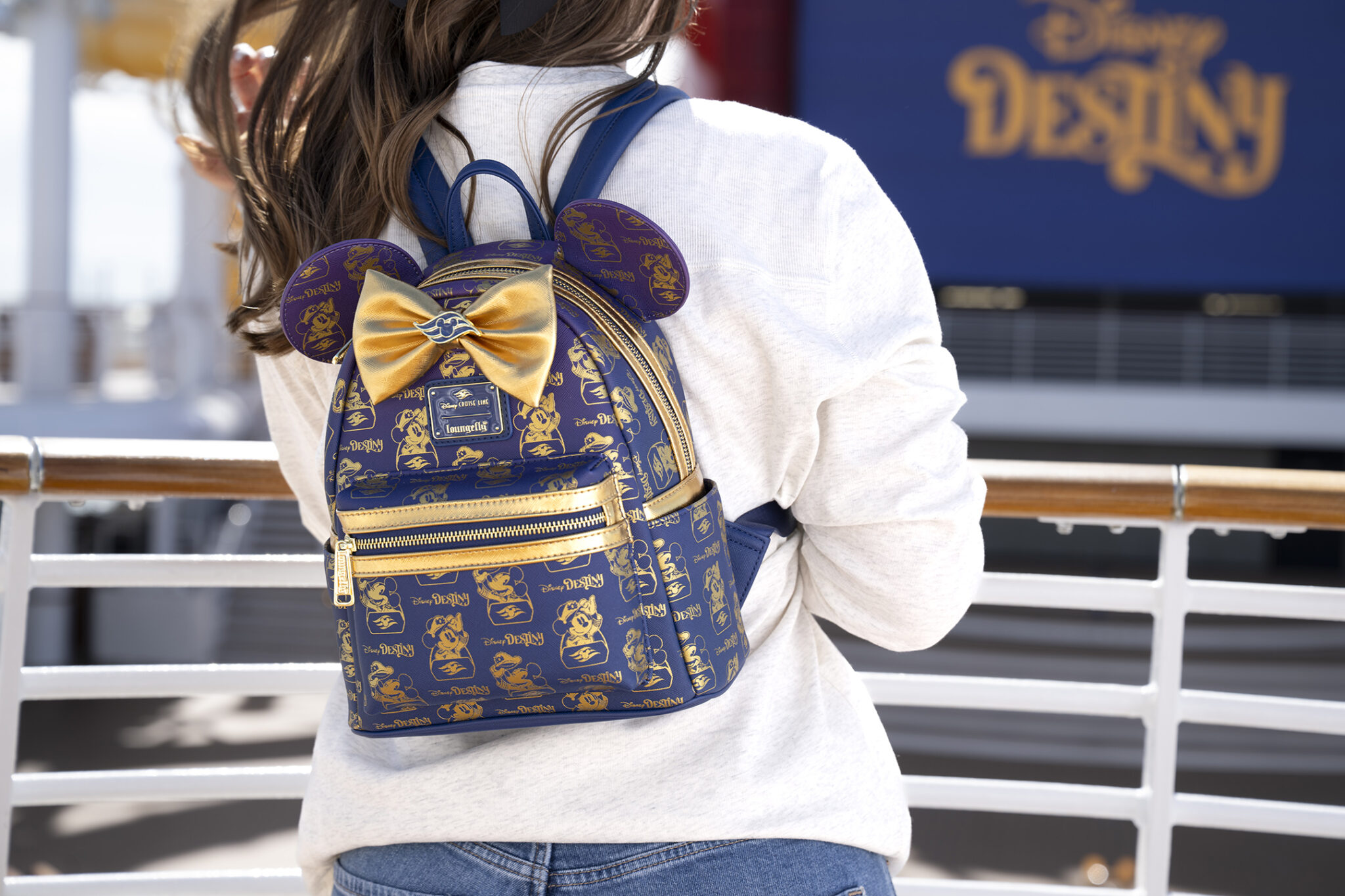 Disney Destiny Branded Merchandise First Look | Chip and Company