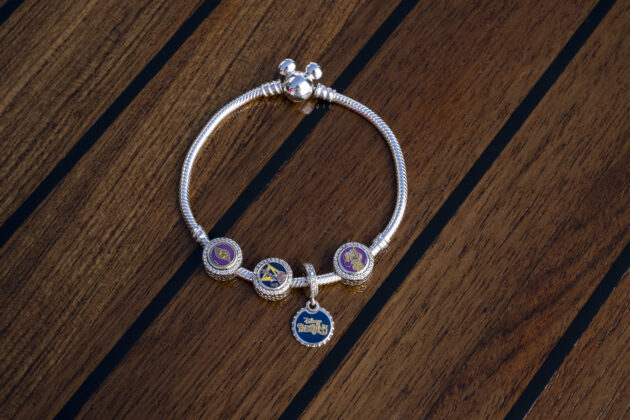 Disney Destiny Branded Merchandise First Look | Chip and Company