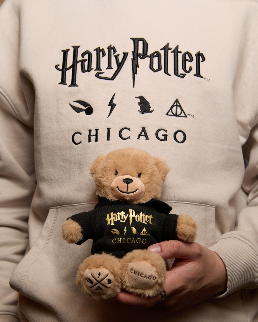 Harry Potter Shop Chicago is now open | Chip and Company