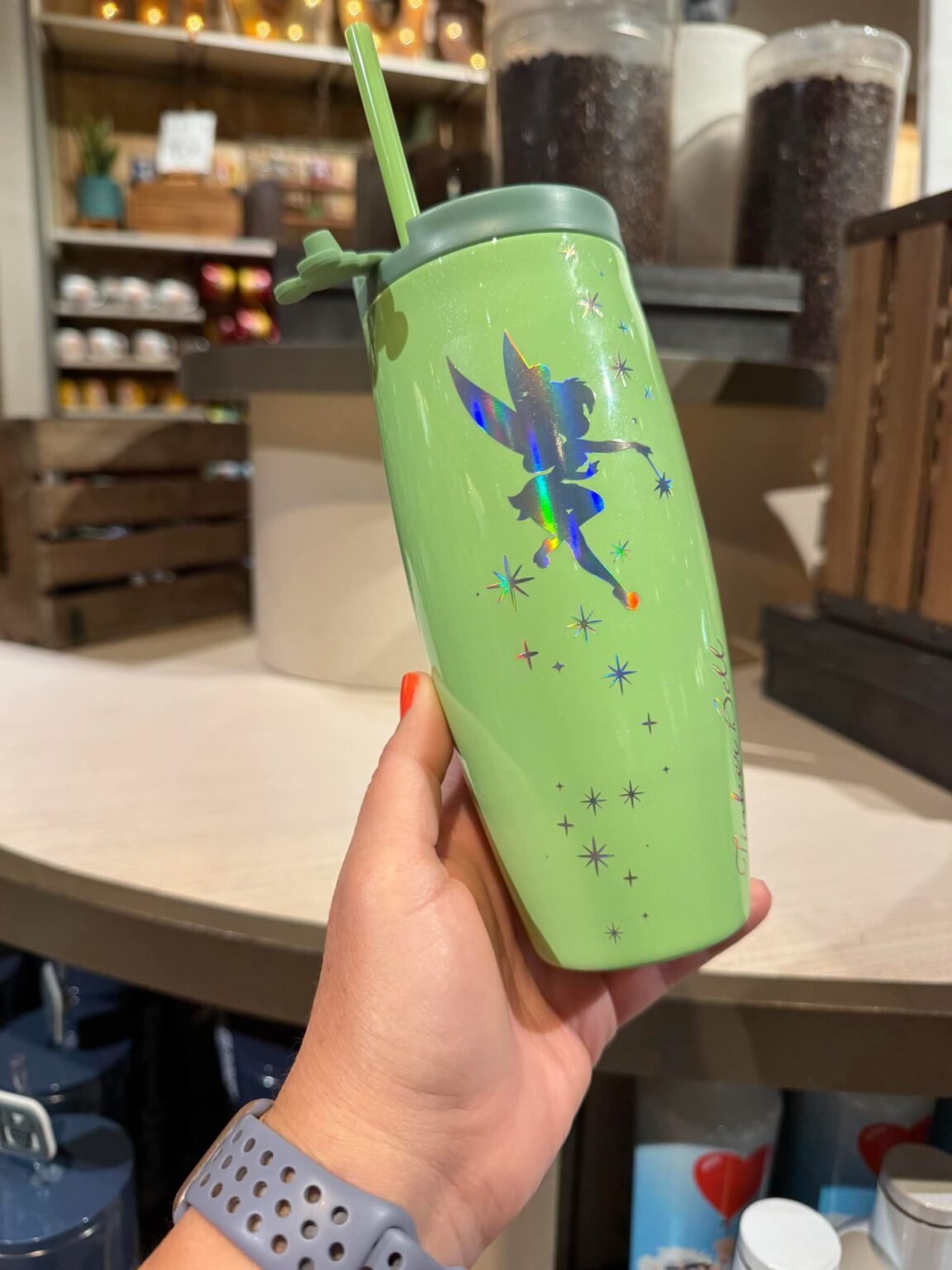 Sprinkle Some Pixie Dust on Your Hydration with the Tinker Bell Stainless Steel Tumbler! | Chip ...