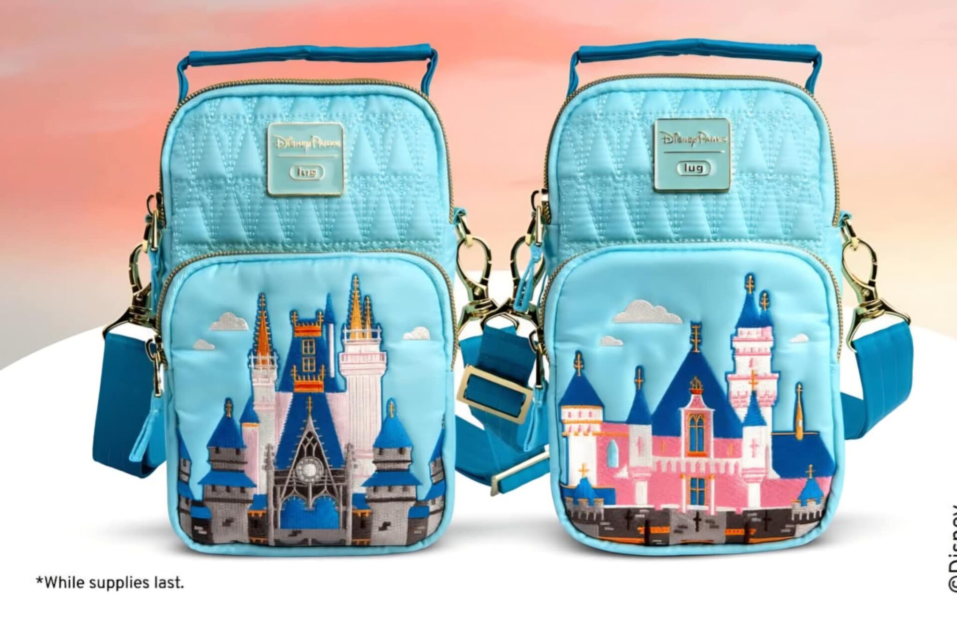 Lug-ging Around the Magic: New Cinderella and Sleeping Beauty Castle ...