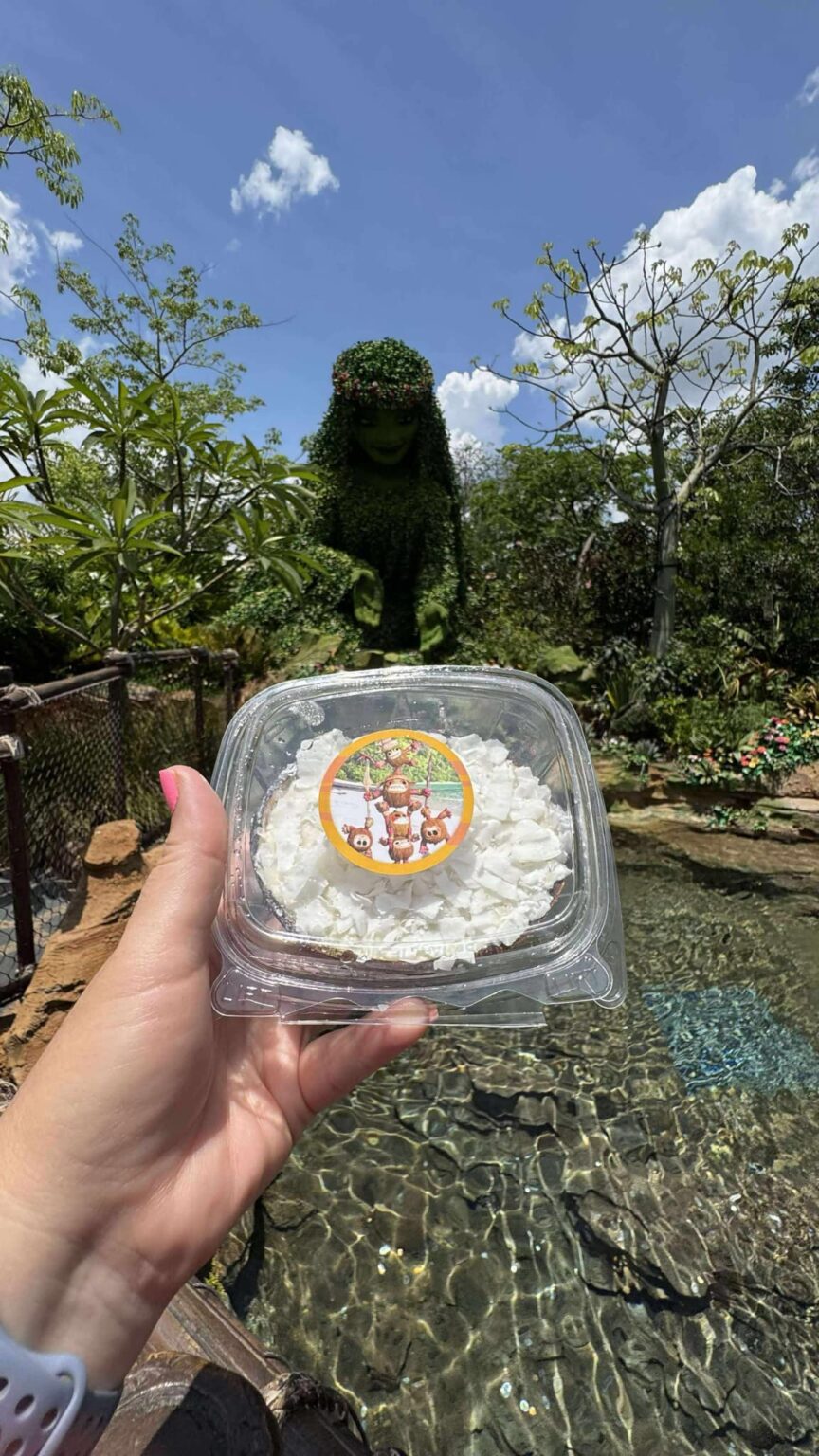 New Moana-Inspired Coconut Pineapple Kakamora Sorbet at EPCOT | Chip ...