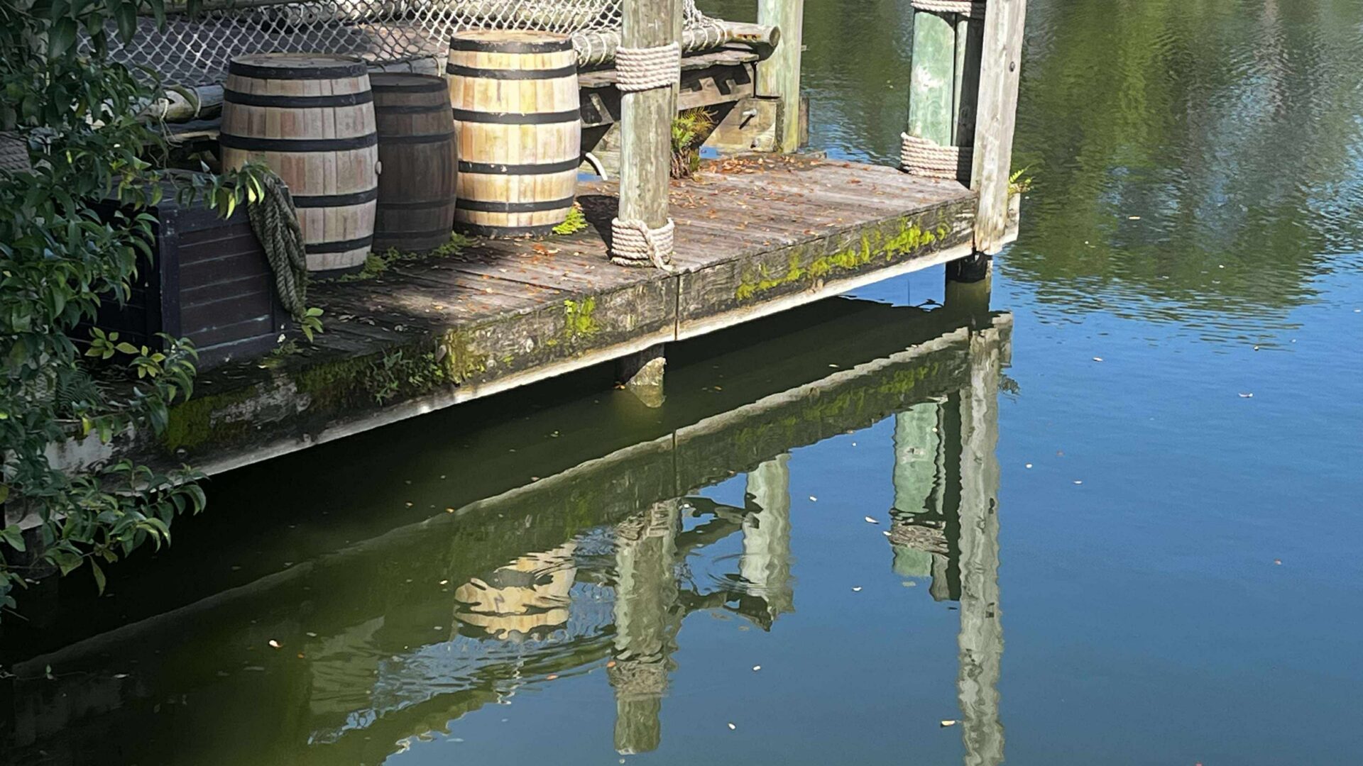 Draining Begins on Rivers of America in the Magic Kingdom | Chip and ...