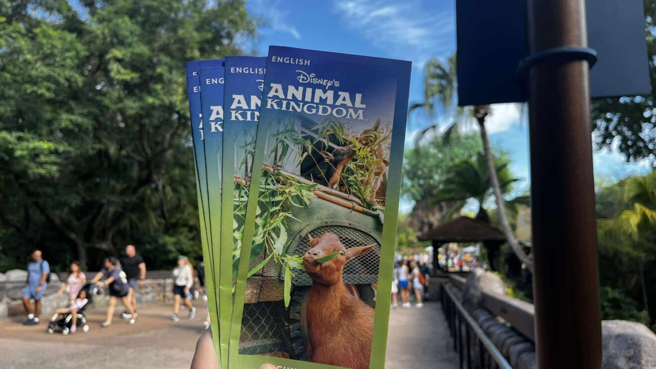 Disney Updates Guidemap Showing the Closure of the Boneyard in Dinoland ...