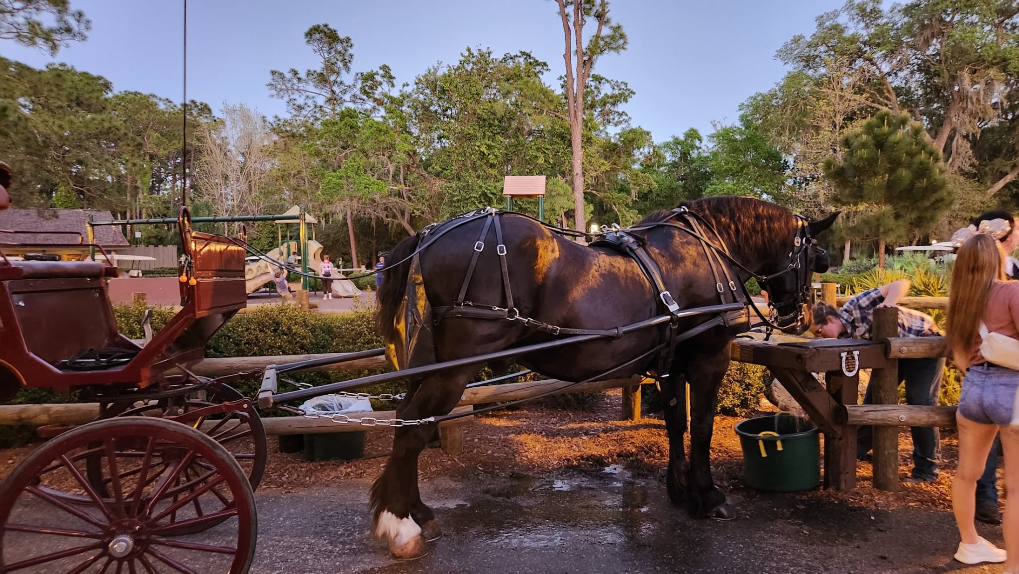 Holiday Sleigh Rides Returning to Fort Wilderness at Disney World ...