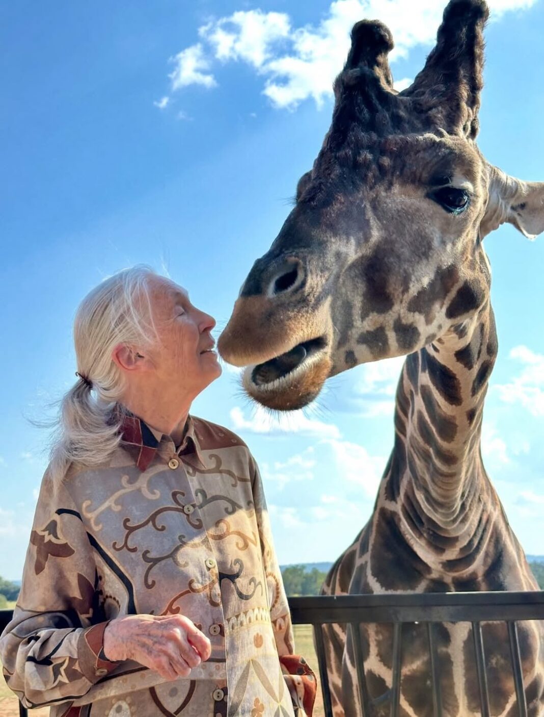 Disney Imagineer Joe Rohde Pays Tribute to the Late Jane Goodall | Chip ...